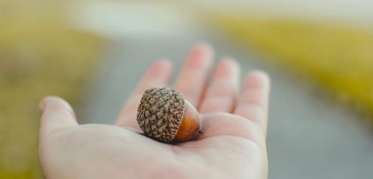 Crack Open ACRN - A Device Hypervisor Designed for IoT - The Linux ...